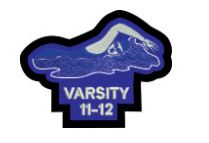 Sleeve Patch - Athletic Swim-2 Swimming Female – IL School Services ...